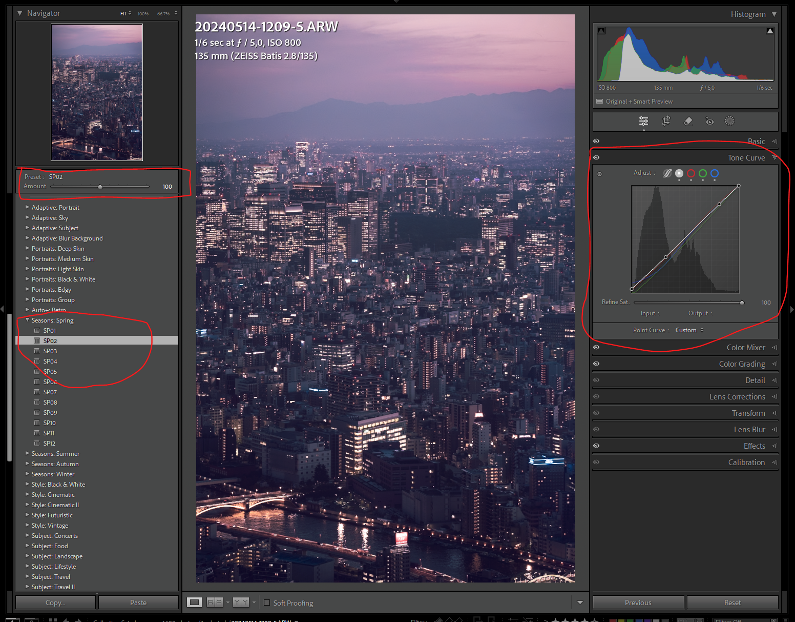 P: Issues when applying presets with custom curves... - Adobe Community ...