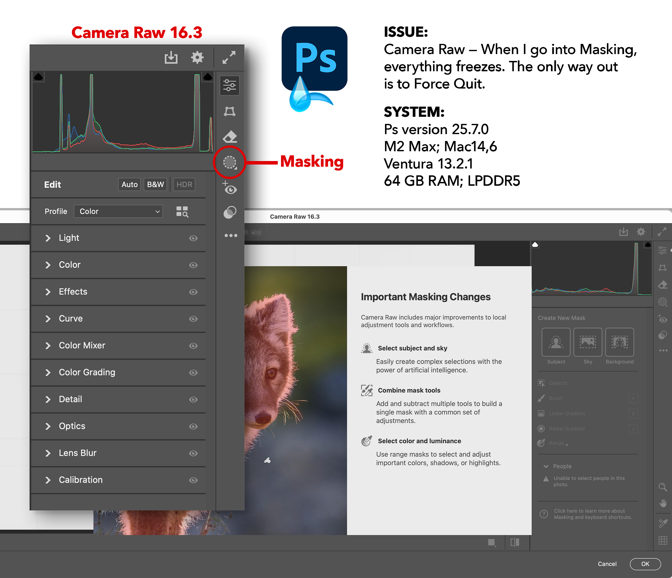 Camera Raw 16.3 – Ps 25.7.0 – Entering Masking fre... - Adobe Community ...