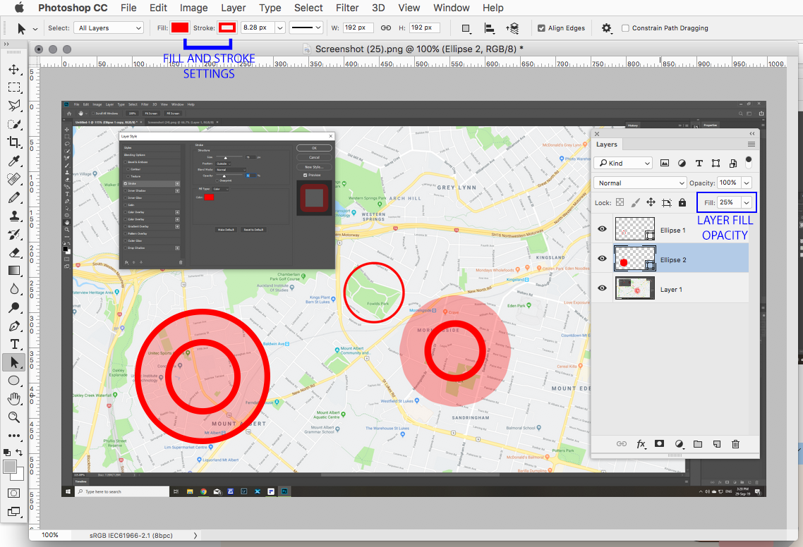 Can't create a filled circle with different opacit... - Adobe Product ...