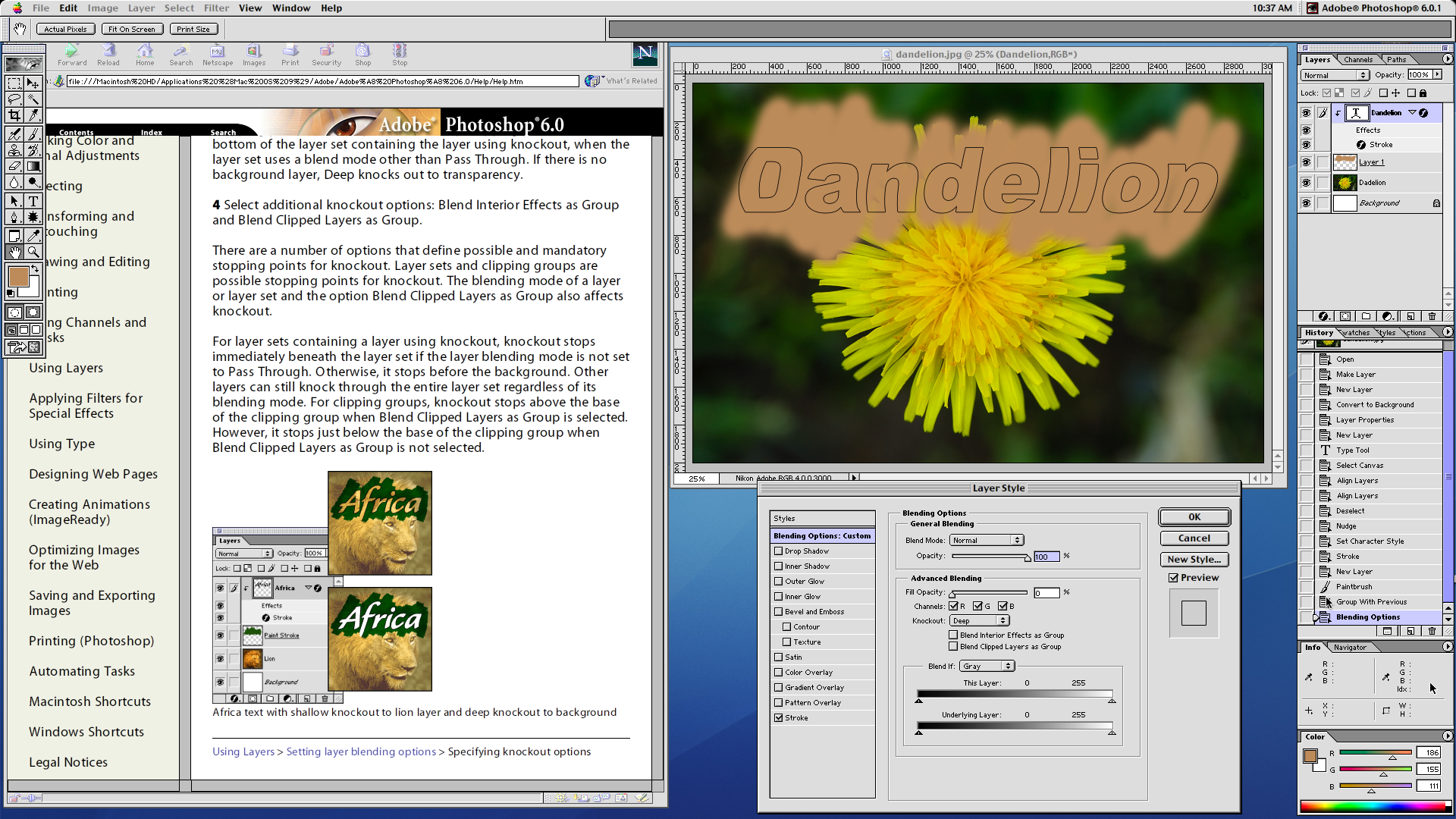 Solved: Deep knockout cannot knock out to the Background l... - Adobe ...