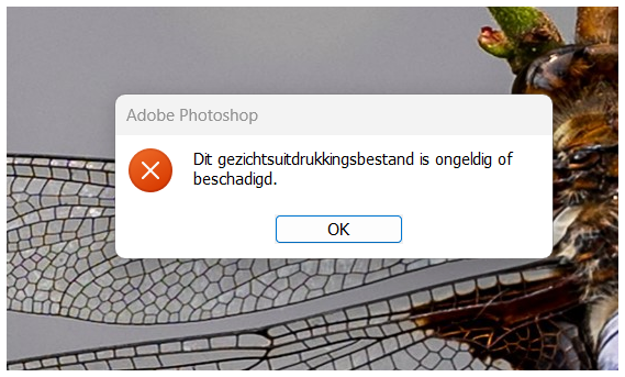 P: This Face Expression File is bad or corrupted - Adobe Product ...