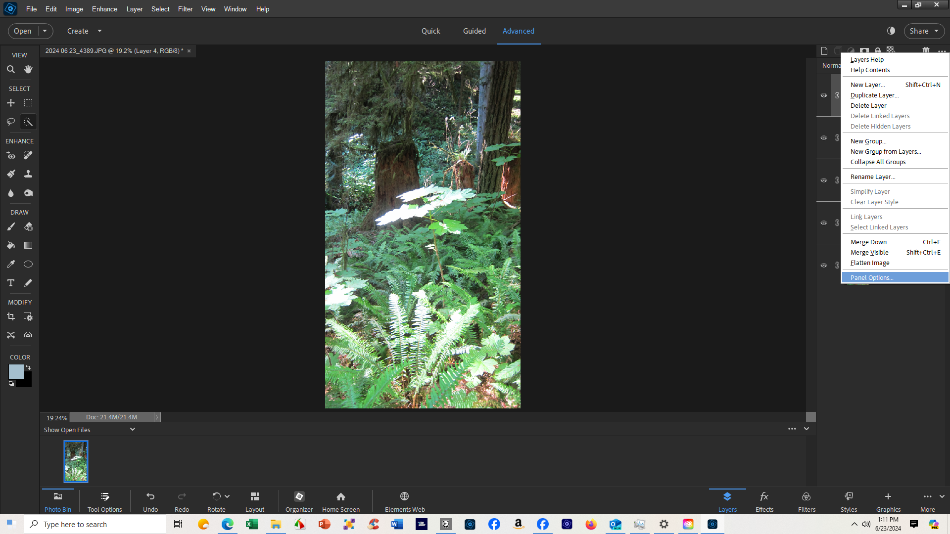 Layer Thumbnails disappearing PSE 2024 - Adobe Community - 14698211