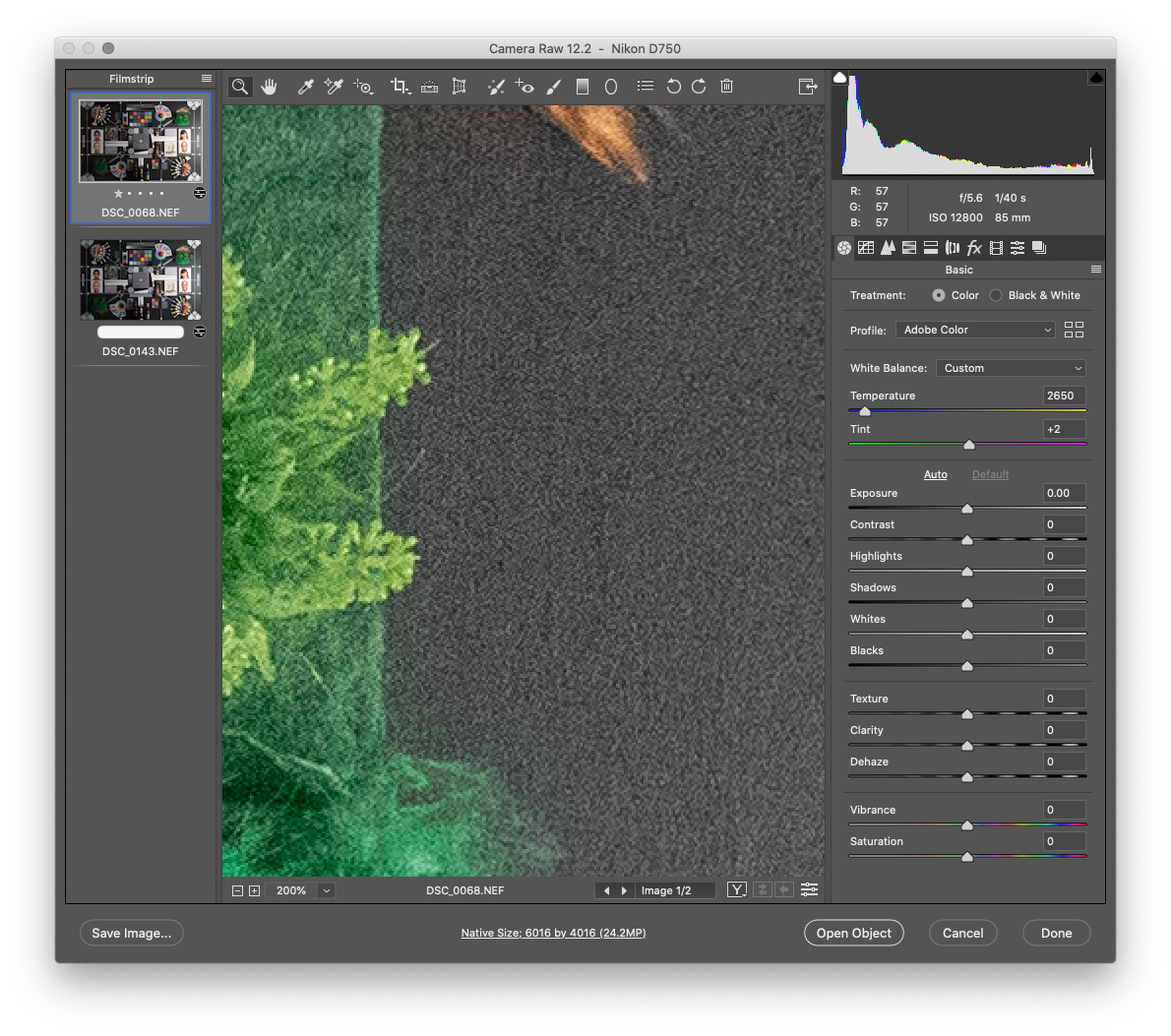 Camera Raw not refreshing images @200% and higher - Adobe Community ...