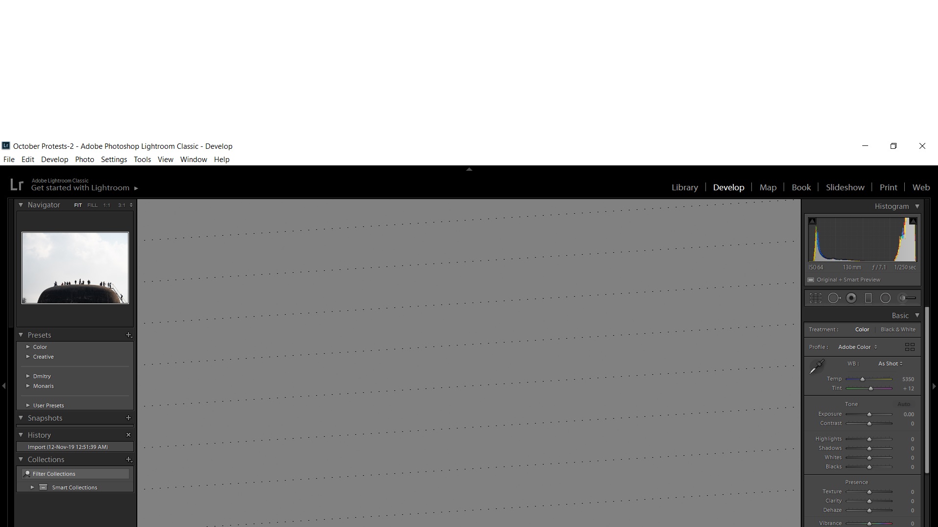 Grey screen in Develop module! - Adobe Community - 10996043