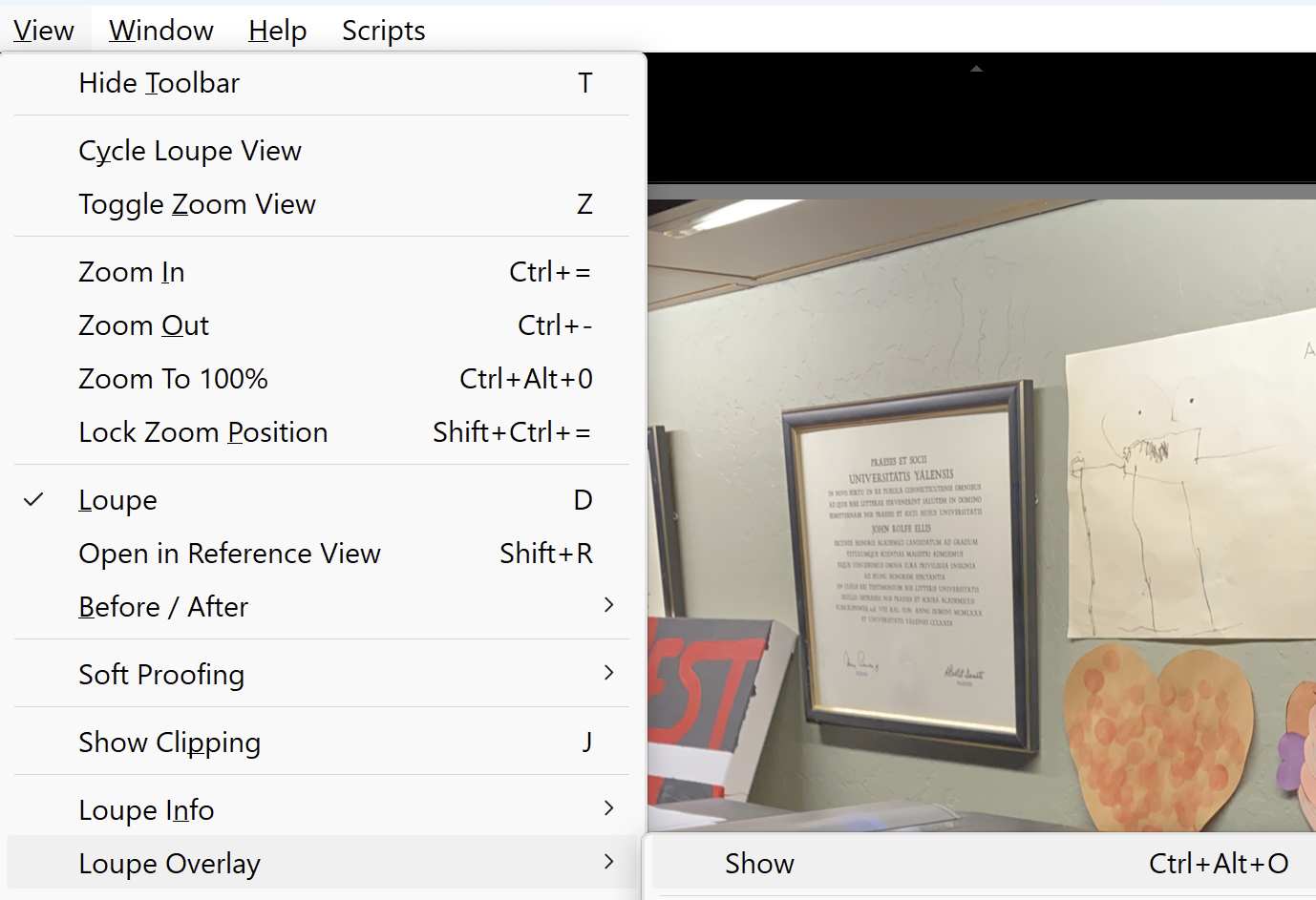 P: Shortcut CTRL + ALT + O (Show Loupe Overlay) do... - Adobe Product ...
