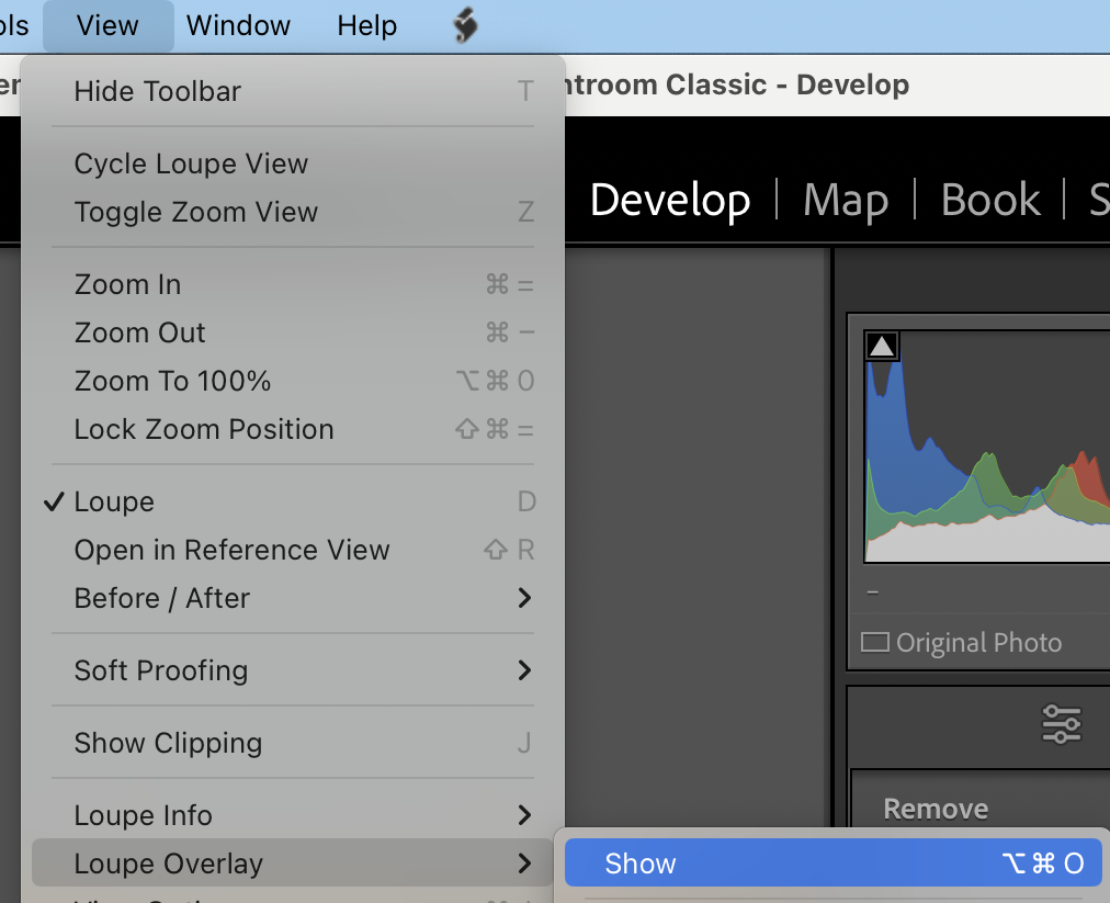 P: Shortcut CTRL + ALT + O (Show Loupe Overlay) do... - Adobe Product Community - 14701774