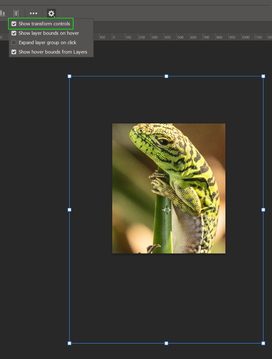 How to change borders of cropped clip? - Adobe Community - 14720155