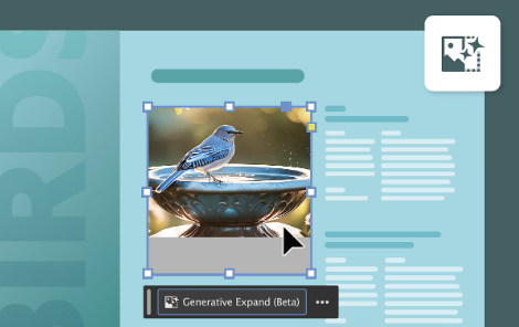 InDesign 19.5 | Generative Expand, History Panel a... - Adobe Product ...