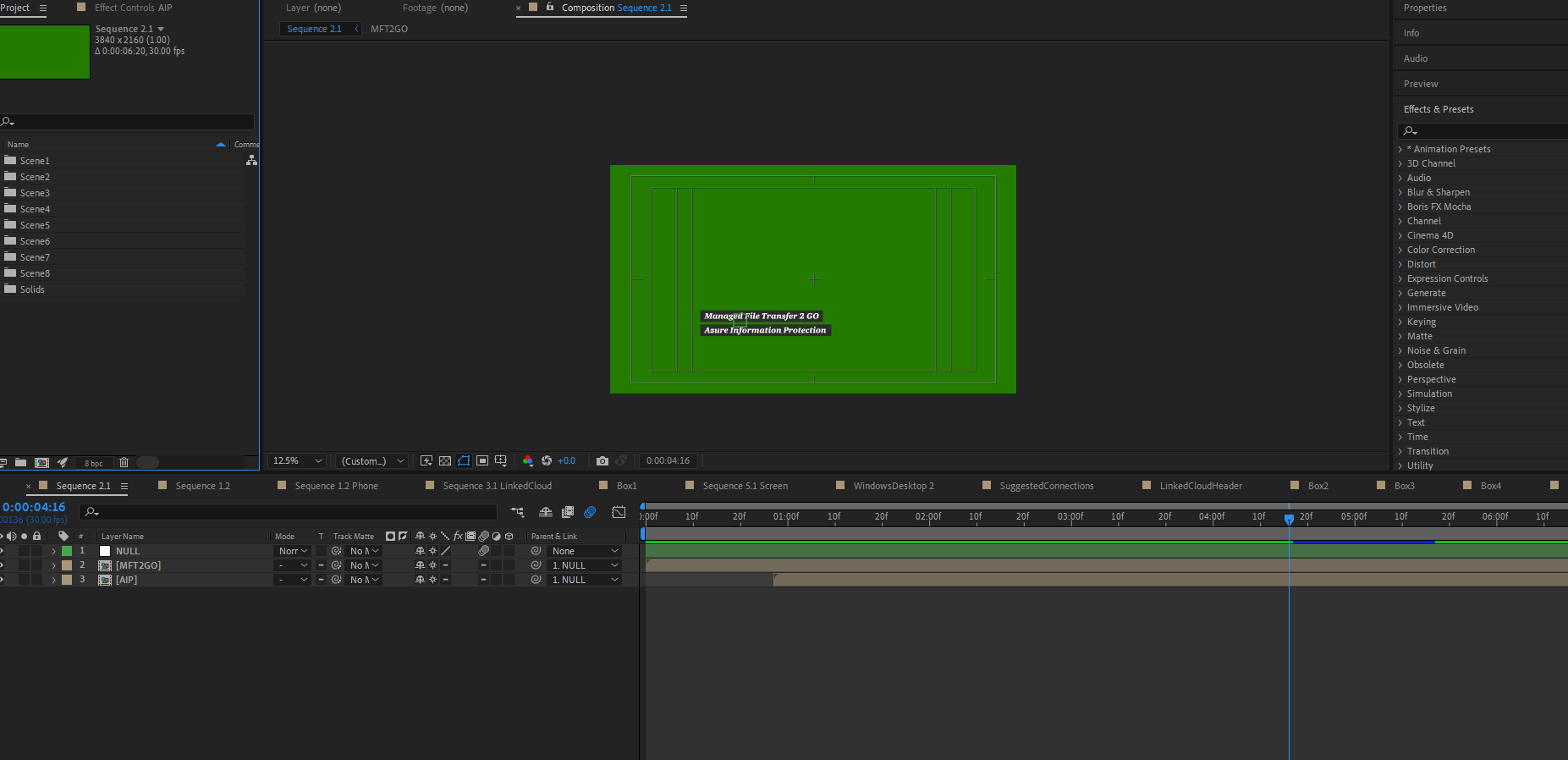 AE graphics look pixelated in anamorphic Premiere ... - Adobe Community ...