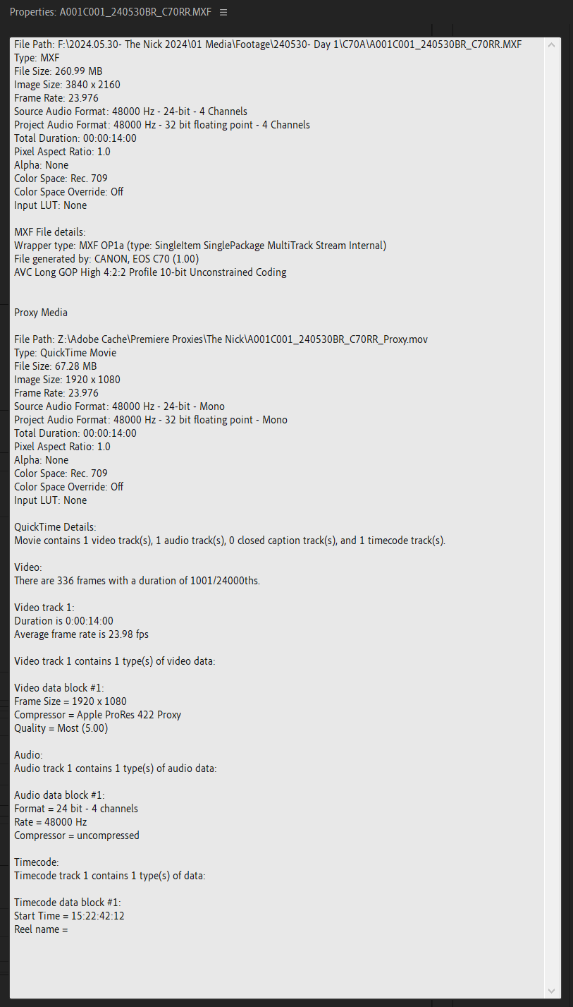 P Frame Substitution Attempt Aborting Error Mx Page 11 Adobe