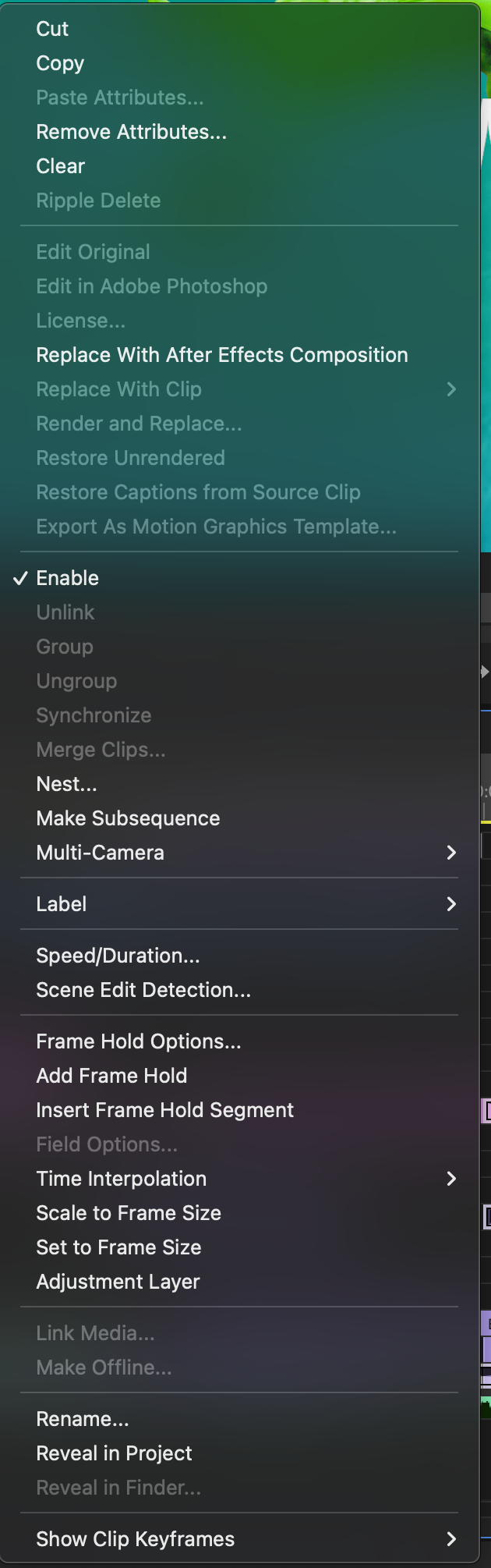 Solved: 'Properties' option missing - Adobe Product Community - 14692388