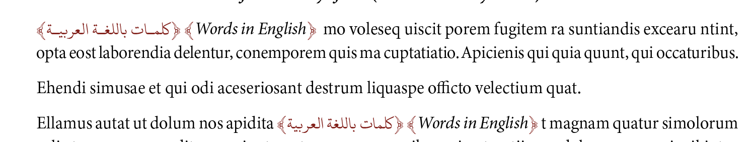 GREP for brackets with arabic or english - Adobe Product Community ...