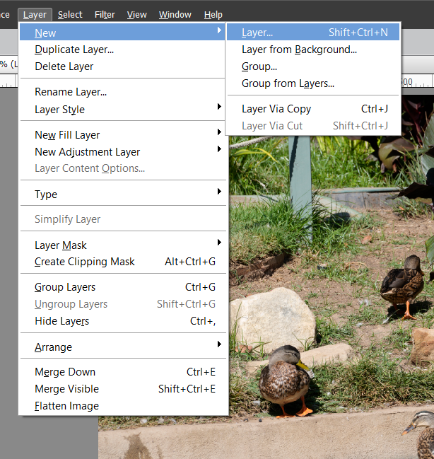 Are there shortcuts for Menu Commands or Tool Opti... - Adobe Product ...