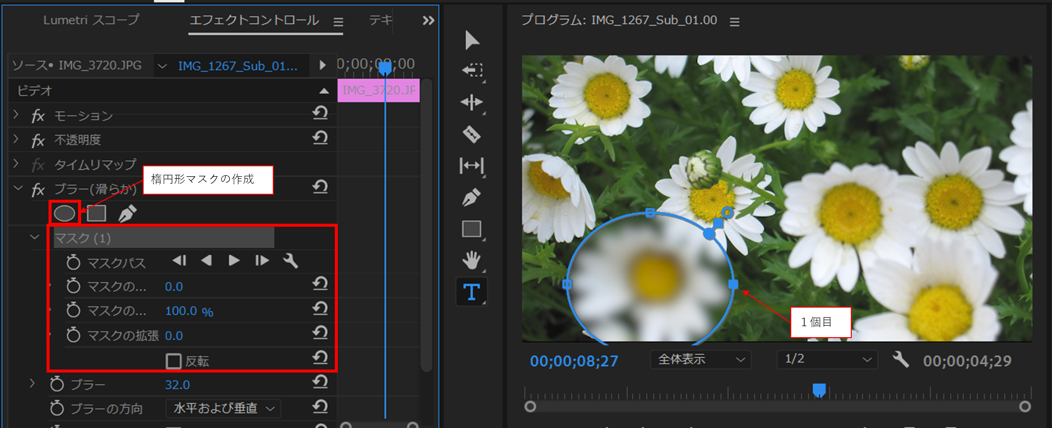 解決済み: テキストが入力できません（超初心者） - Adobe Product Community - 14720289