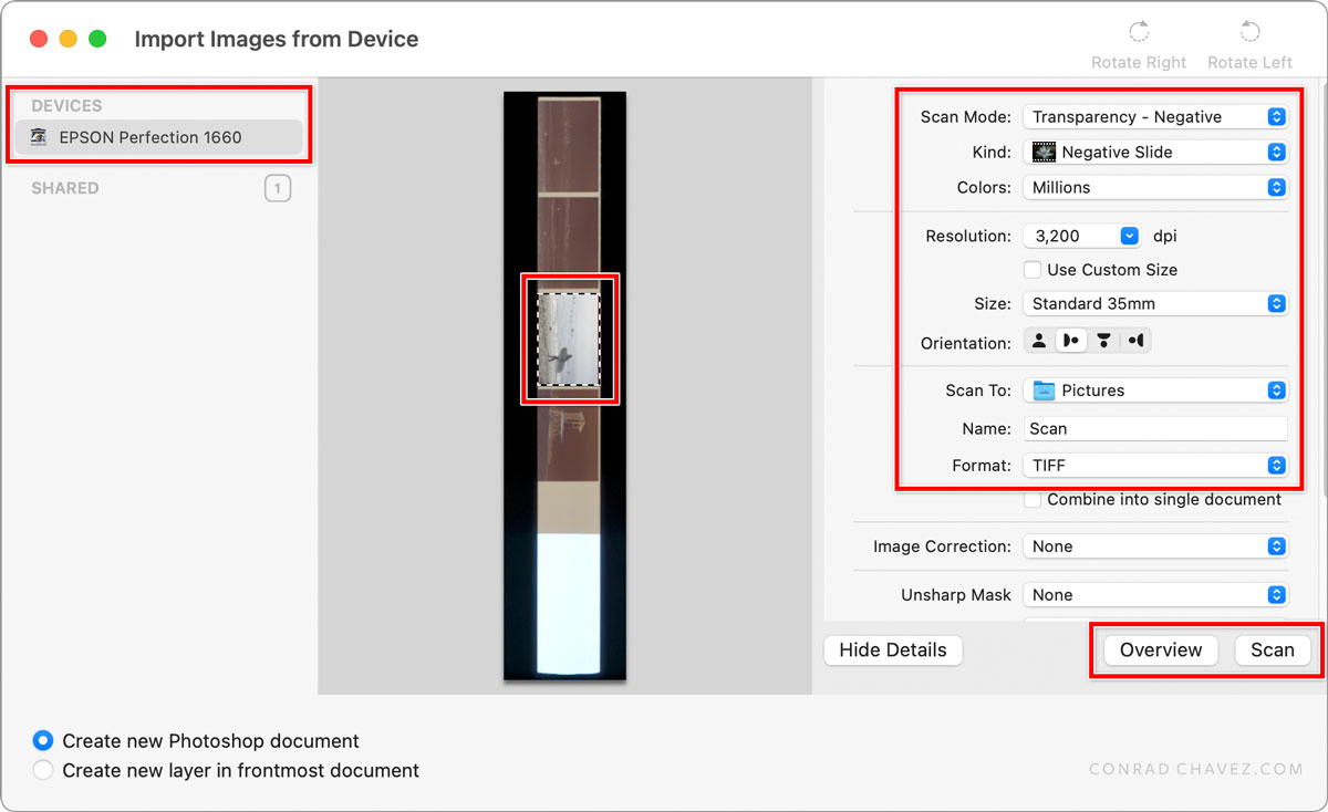 Solved: Scanning negatives to Photoshop - Adobe Product Community ...