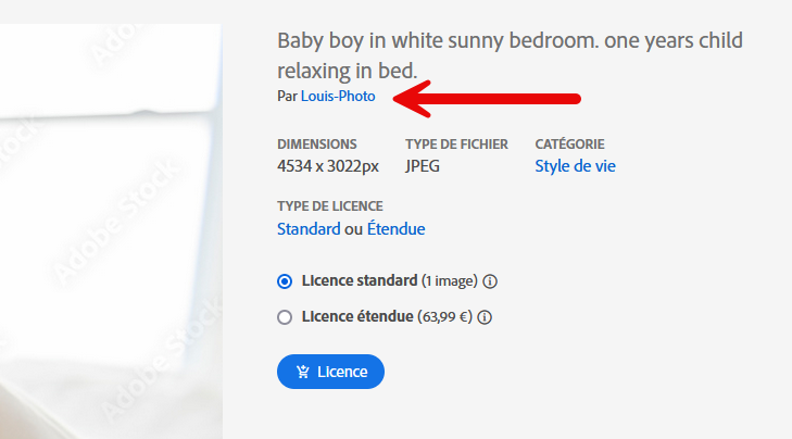 How to cite Adobe stock images on website - Adobe Product Community - 14752563