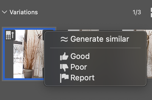 AI generate similar image - Adobe Community - 14754789