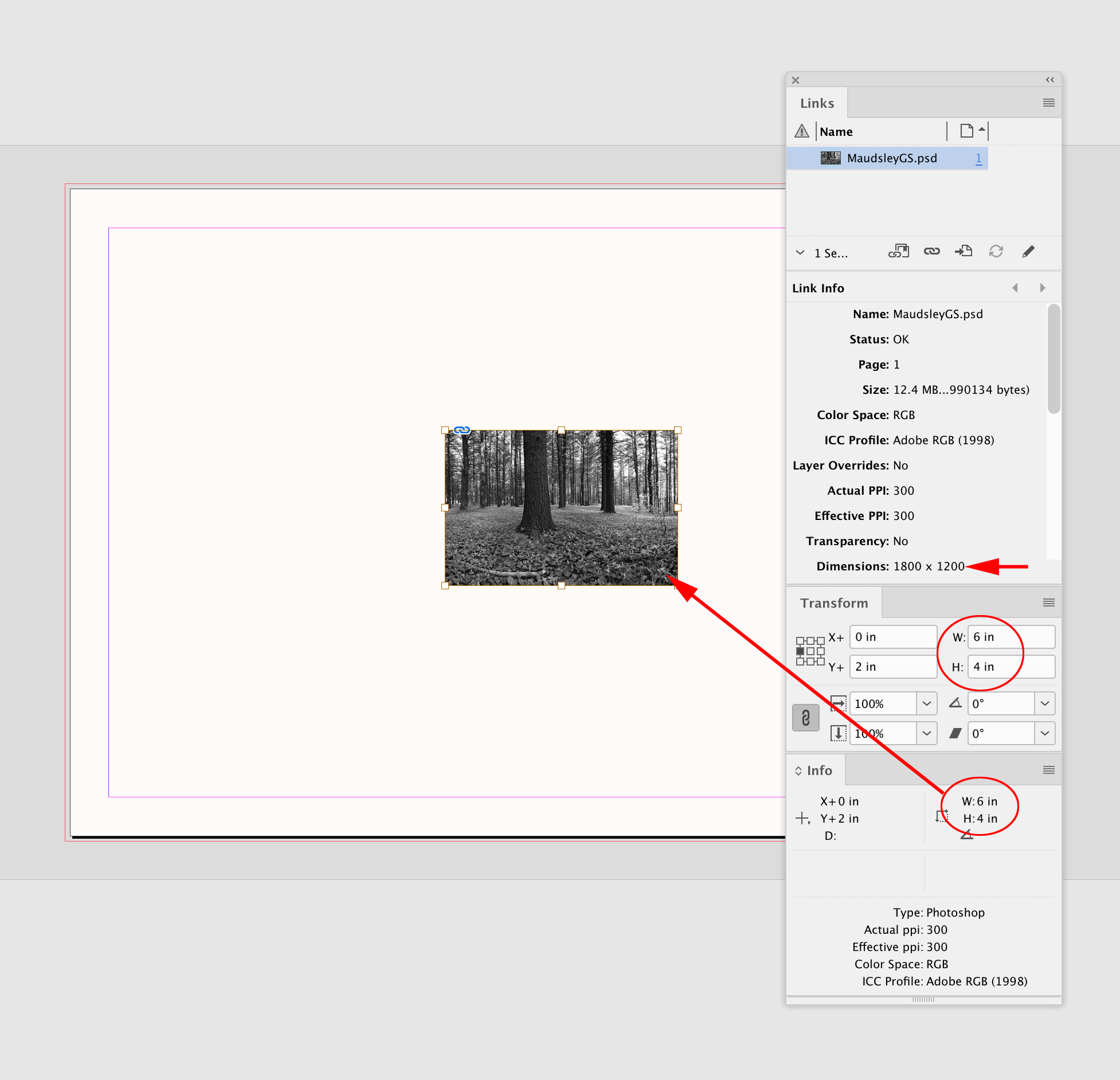 Image Placement Issue in InDesign: Placed Photosho... - Adobe Product ...