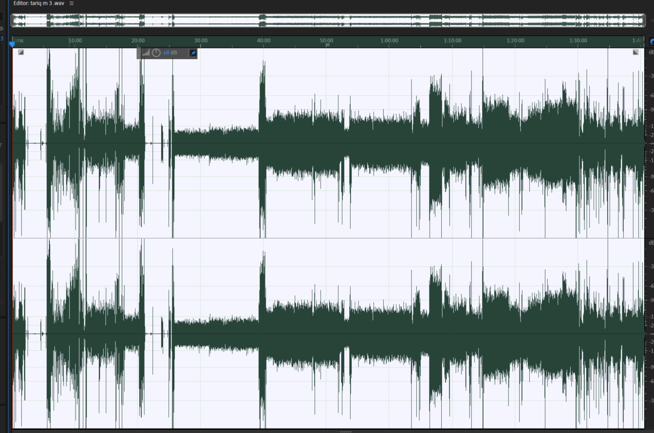 Audio file showing WAV but no audio - Adobe Product Community - 14779323