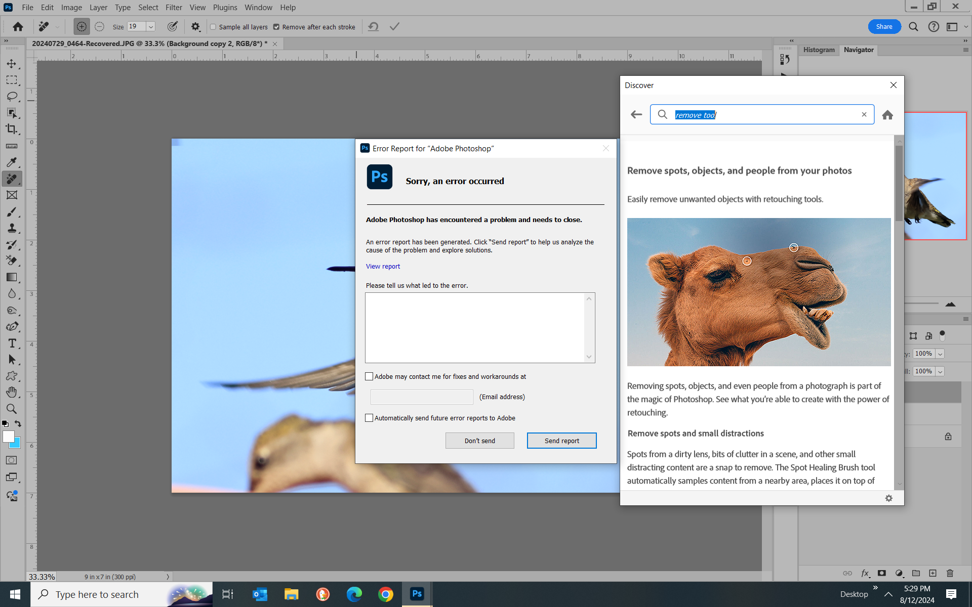 Remove tool Crashes PS - Adobe Product Community - 14796233