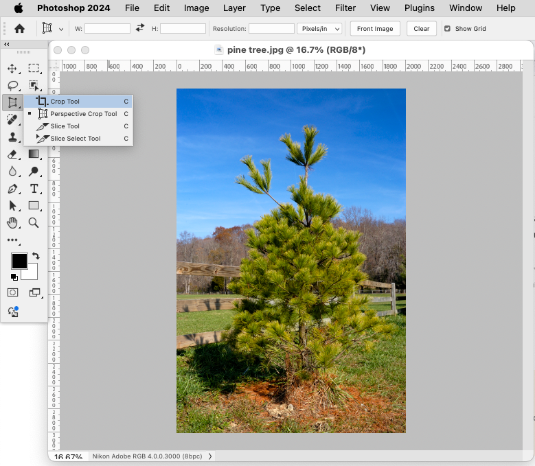 Solved: Why is my Crop tool not visible and where is it hi... - Adobe ...