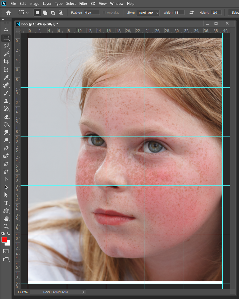 Tiled printing of image larger than paper size - Adobe Product ...