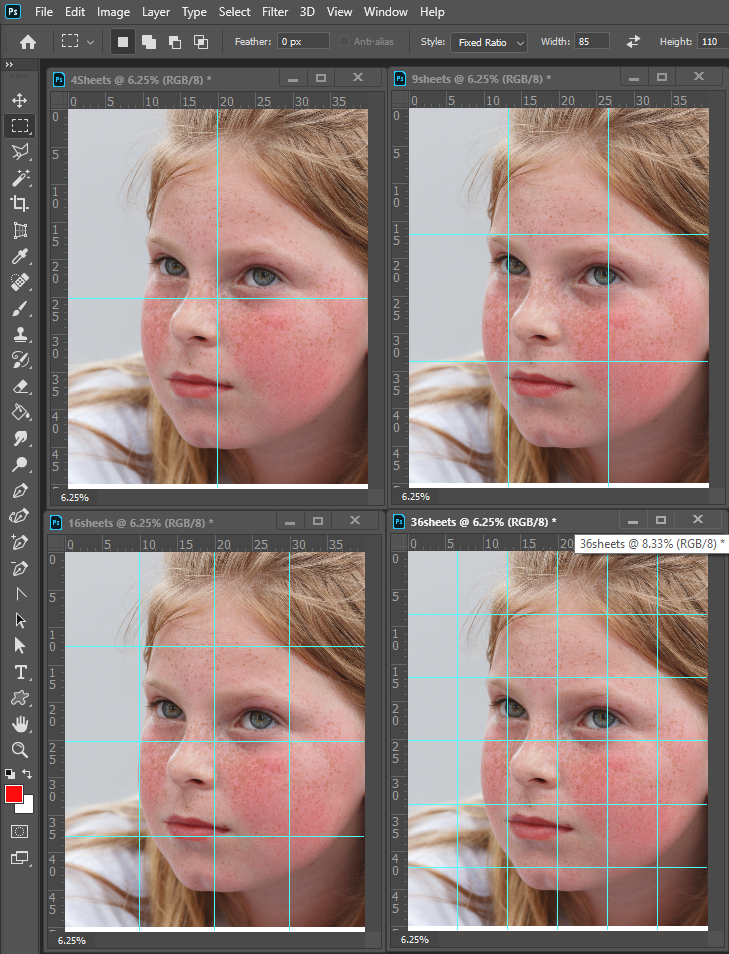 Tiled printing of image larger than paper size - Adobe Product ...