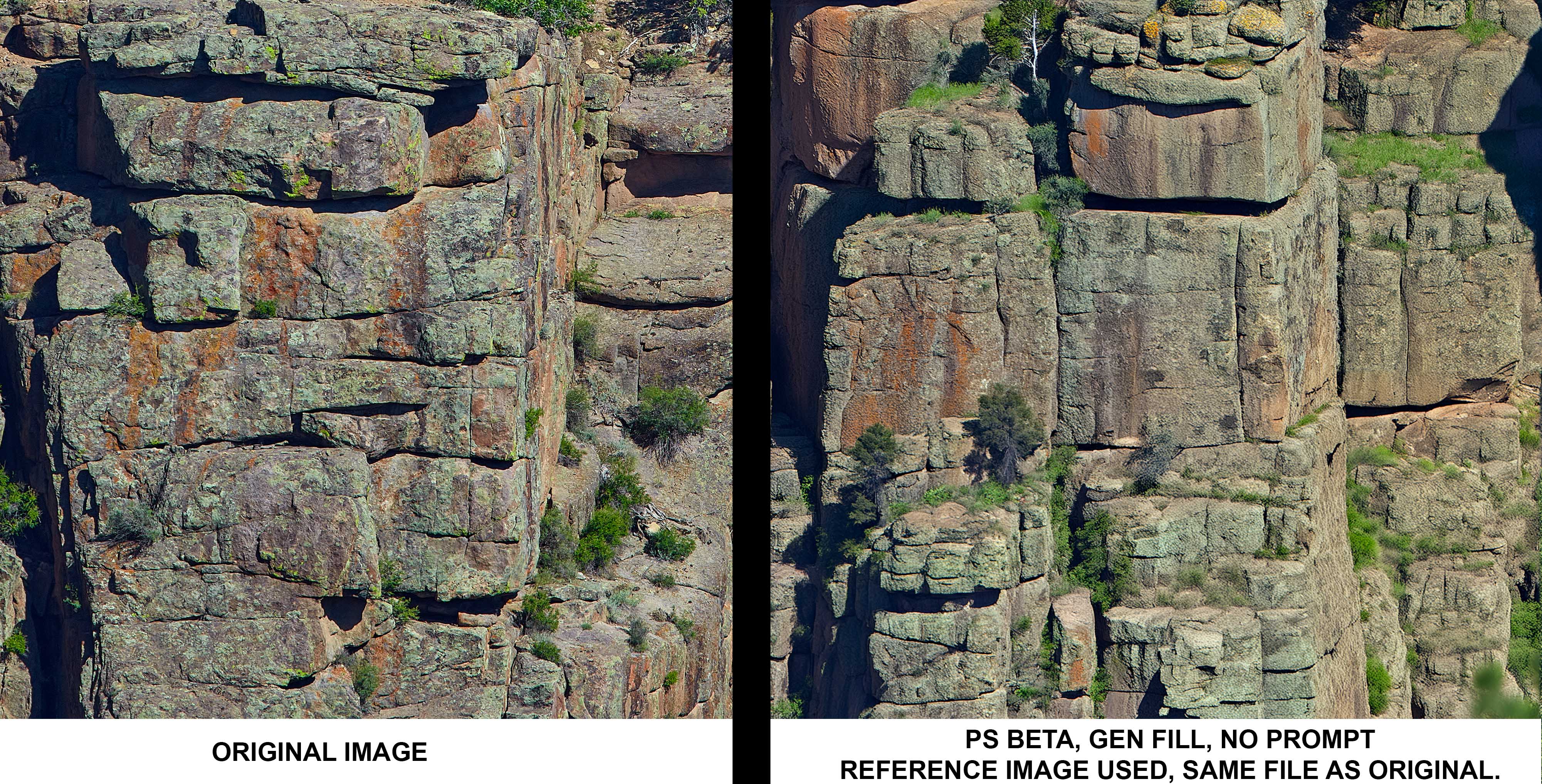 PS Standard AI VS PS Beta AI - Weird Differences, ... - Adobe Community ...