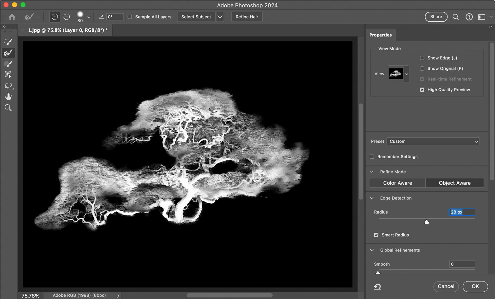 Complex Cut Out from a Photo... - Adobe Product Community - 14825078