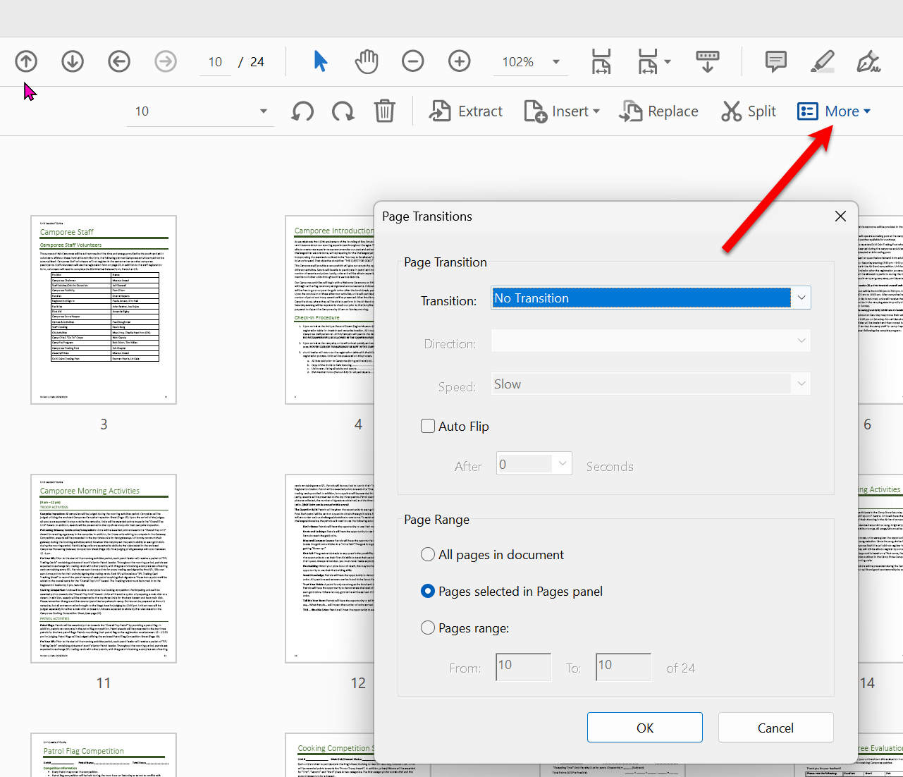 How to Block Native Page-by-Page Transition in PDF... - Adobe Community ...