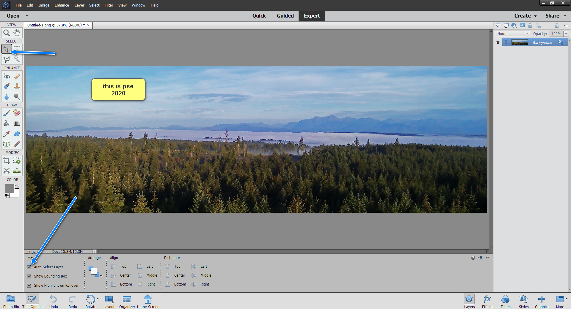 Solved: unlink layers in photoshop elements - Adobe Community - 14829146