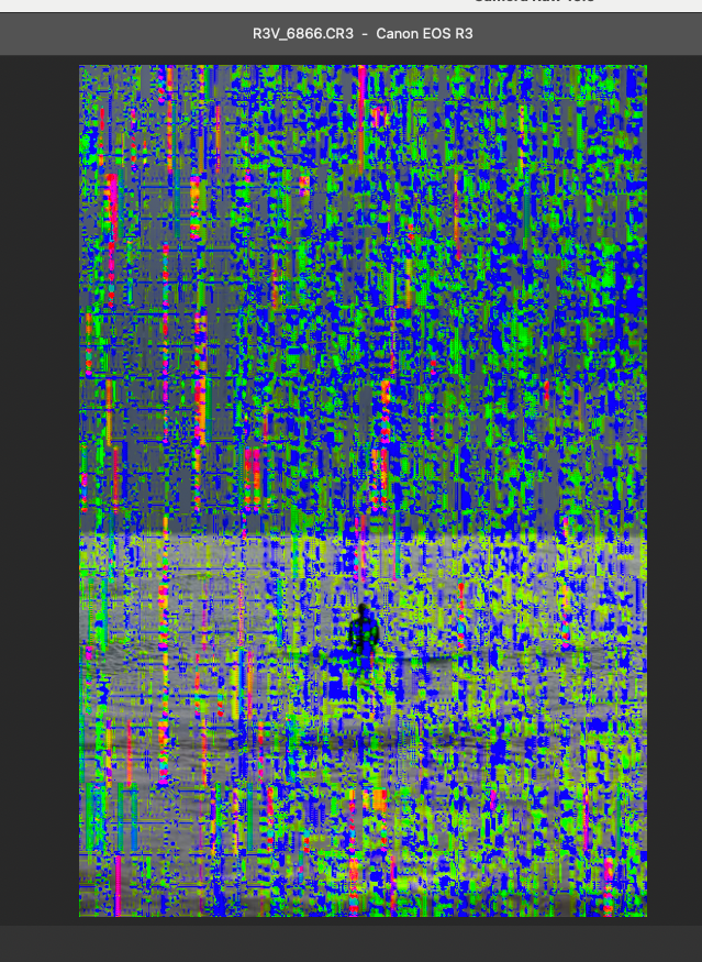 Opening in Camera RAW shows green pixelated image.... - Adobe Product ...