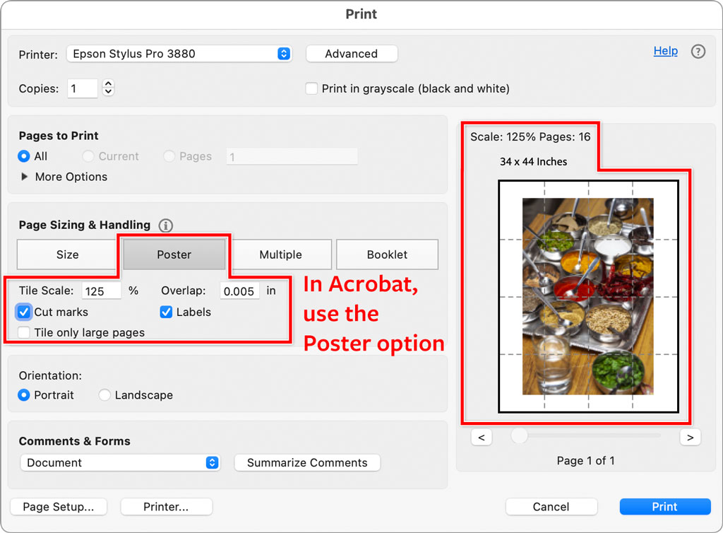 Solved: How do I print a very large photo across multiple ... - Adobe ...