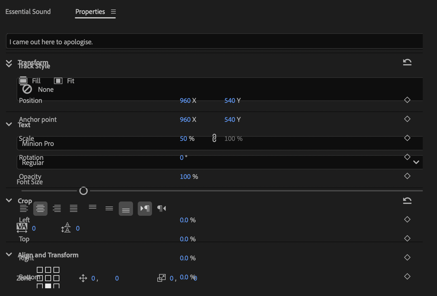 Caption not working in Properties panel - Adobe Community - 14930982
