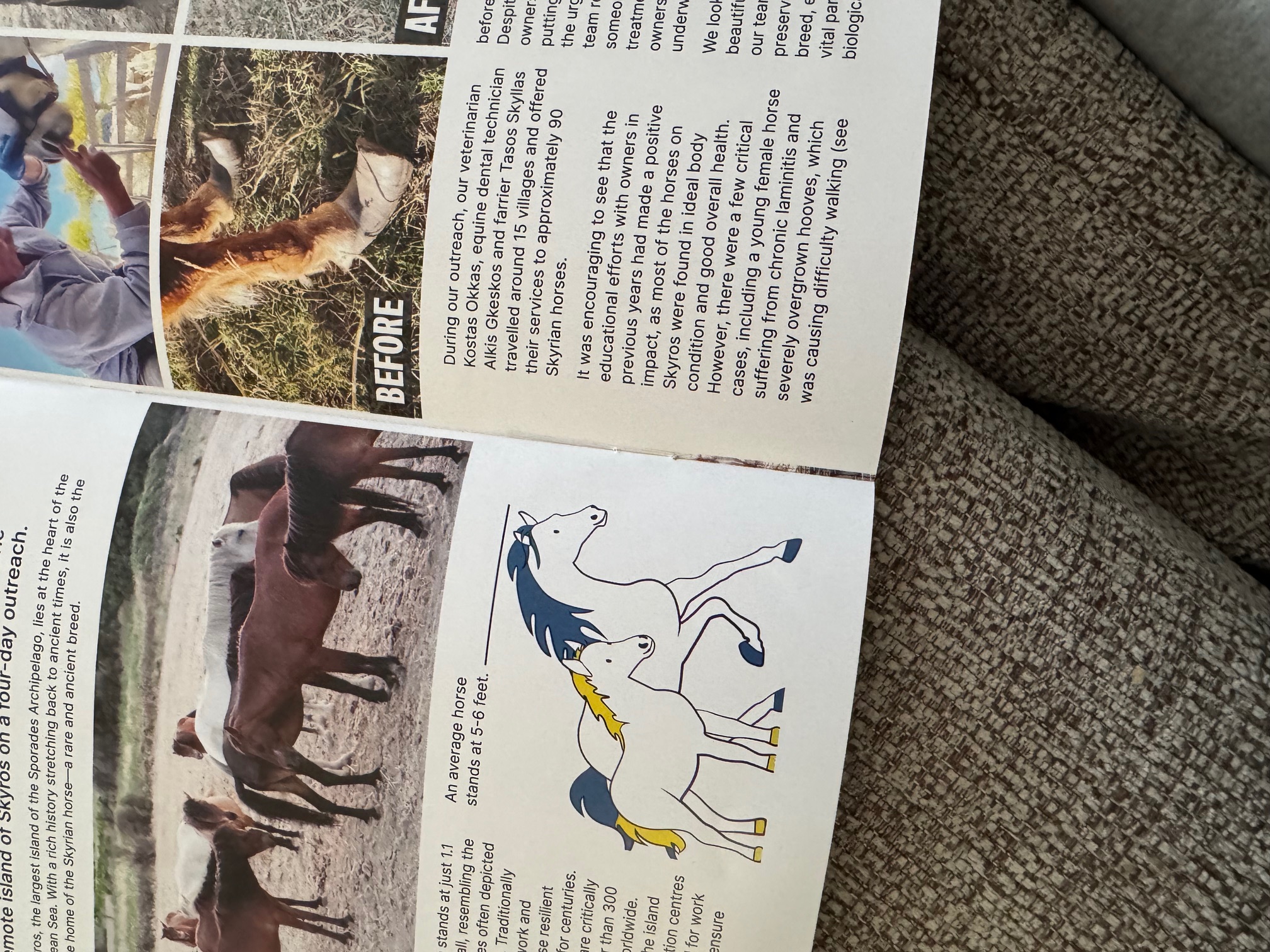 Solved: Stapled booklet printing - Adobe Product Community - 15008368