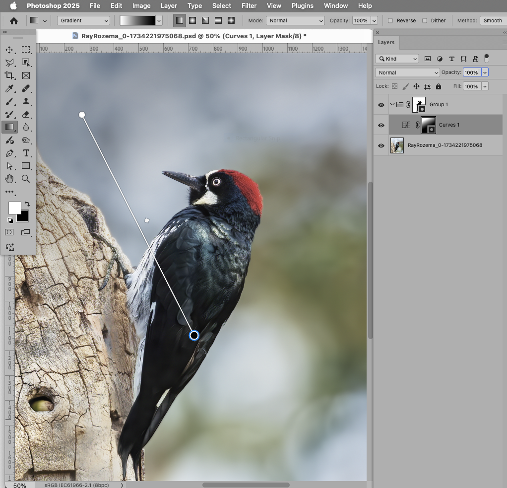 Combining gradient and selection masks - Adobe Product Community - 15038066