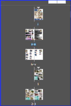 Solved: How to Prevent Renumbering Pages In a New Section ... - Adobe Product Community - 15047060