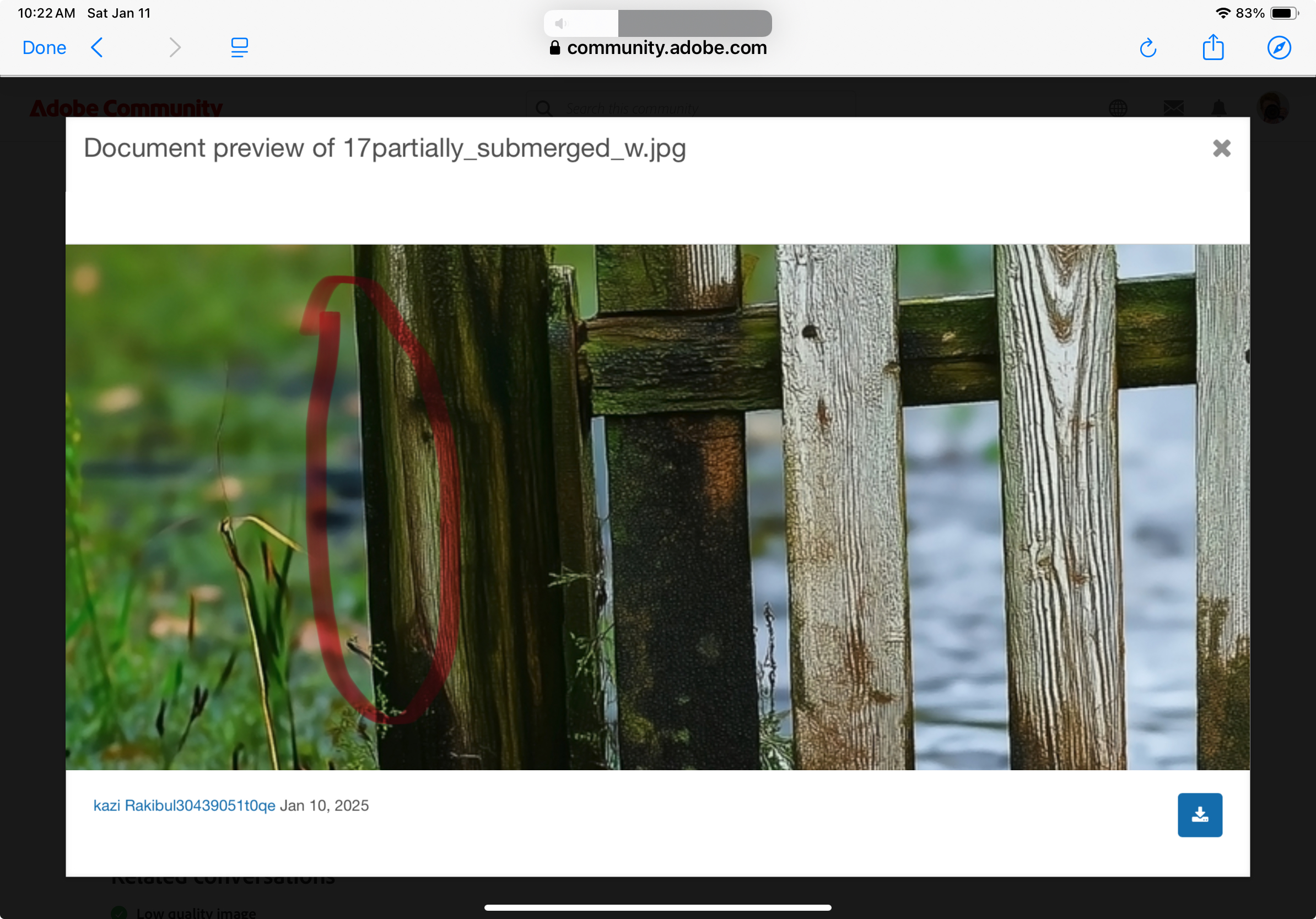 Request for Advice to improve my Image quality - Adobe Community - 15083220