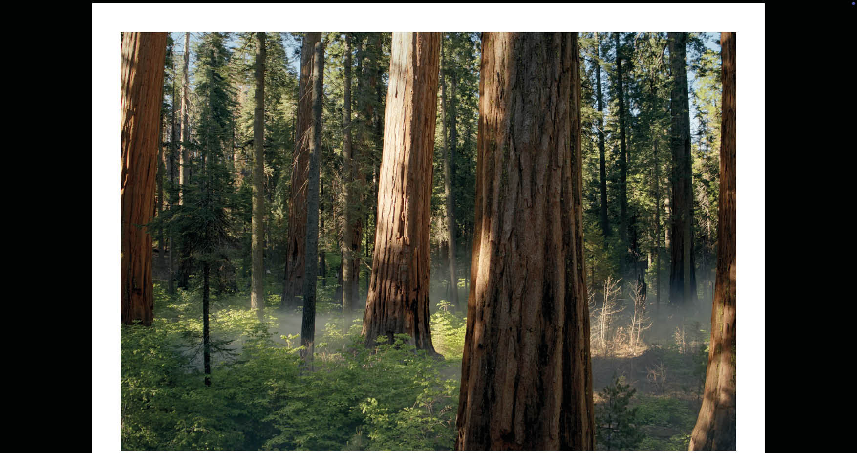 Indesign presentation mode issue with external mon... - Adobe Community ...