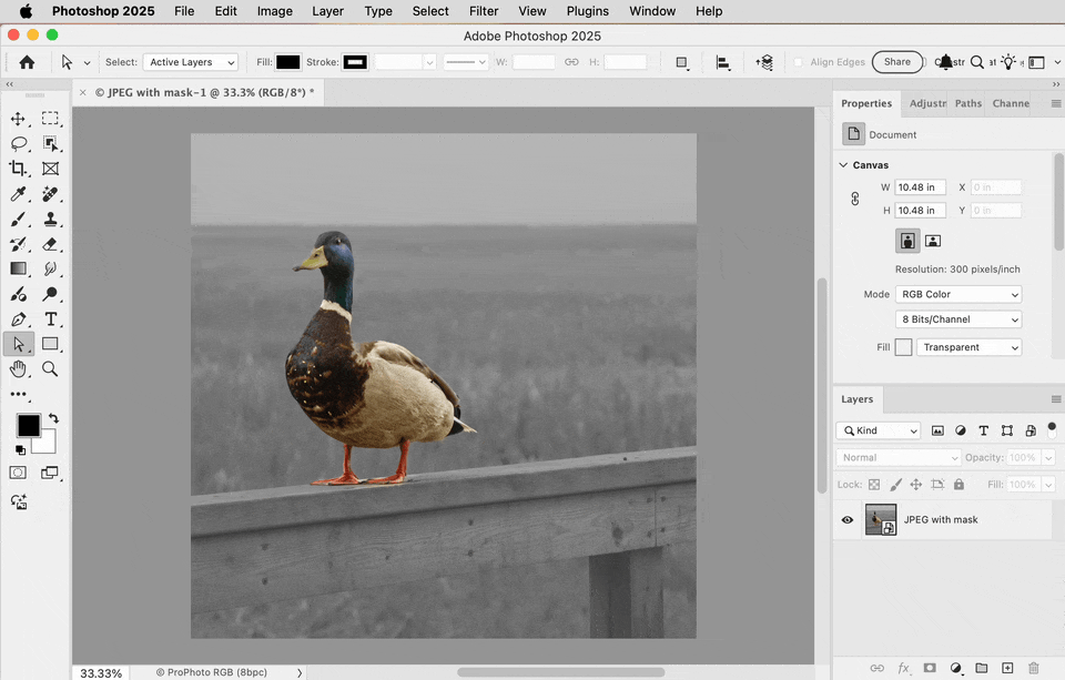 XMP files not saved for Open as Camera Raw methods... - Adobe Community ...