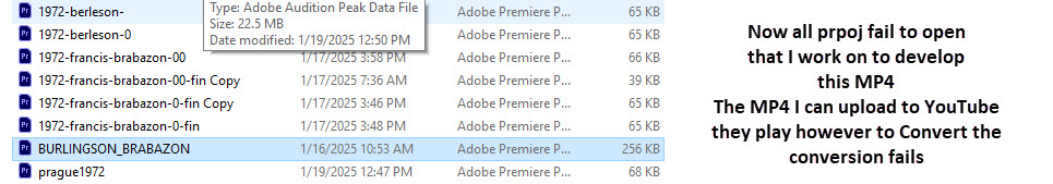 Unsupported Format MP4 - Adobe Product Community - 15103595