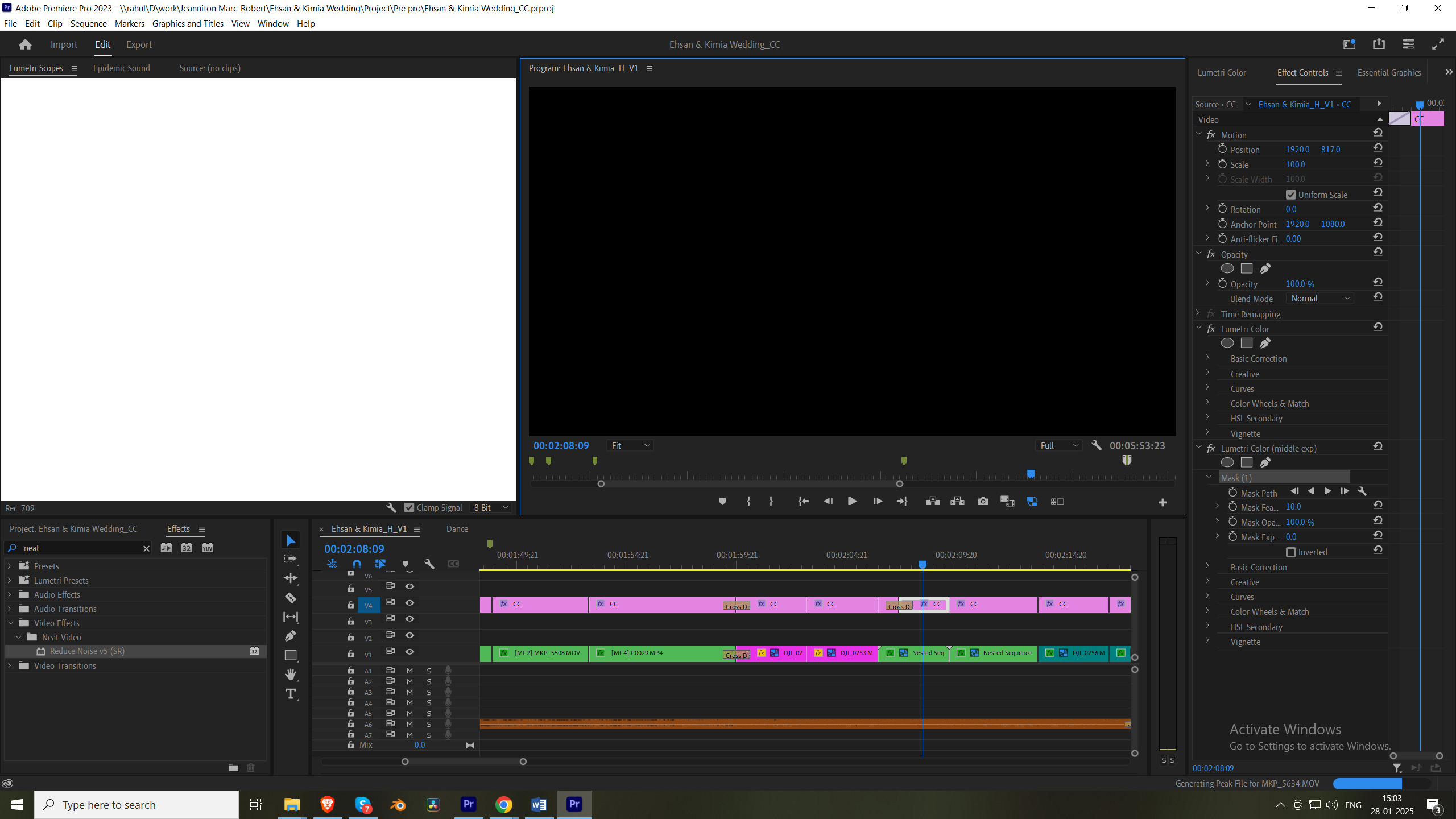 Premiere's source monitor and lumetri scopes panel... - Adobe Product ...