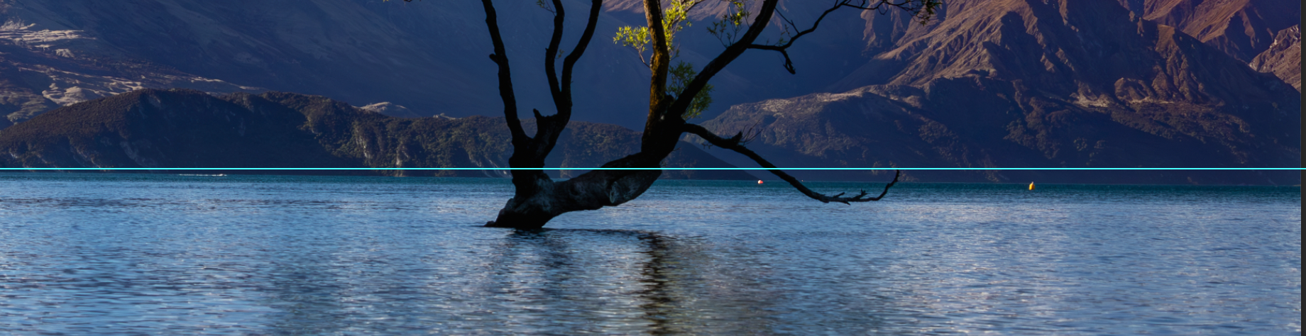 Solved: Large amount of rejected content for quality issue... - Adobe ...