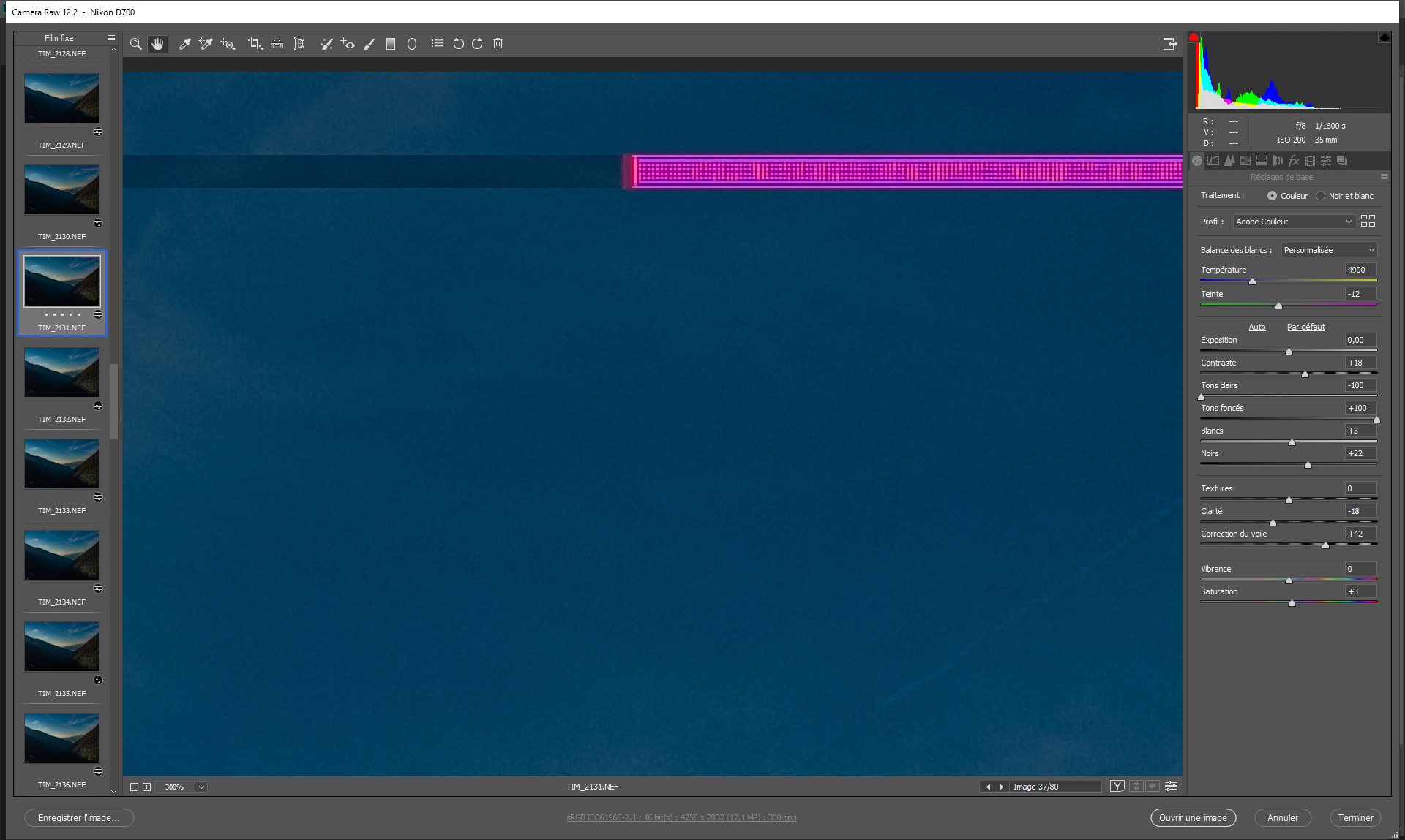Pixel line moved by PS Viewer - Adobe Product Community - 11042223