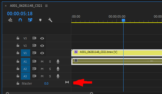 Solved: creating a video file with 4 audio tracks in stere... - Adobe ...