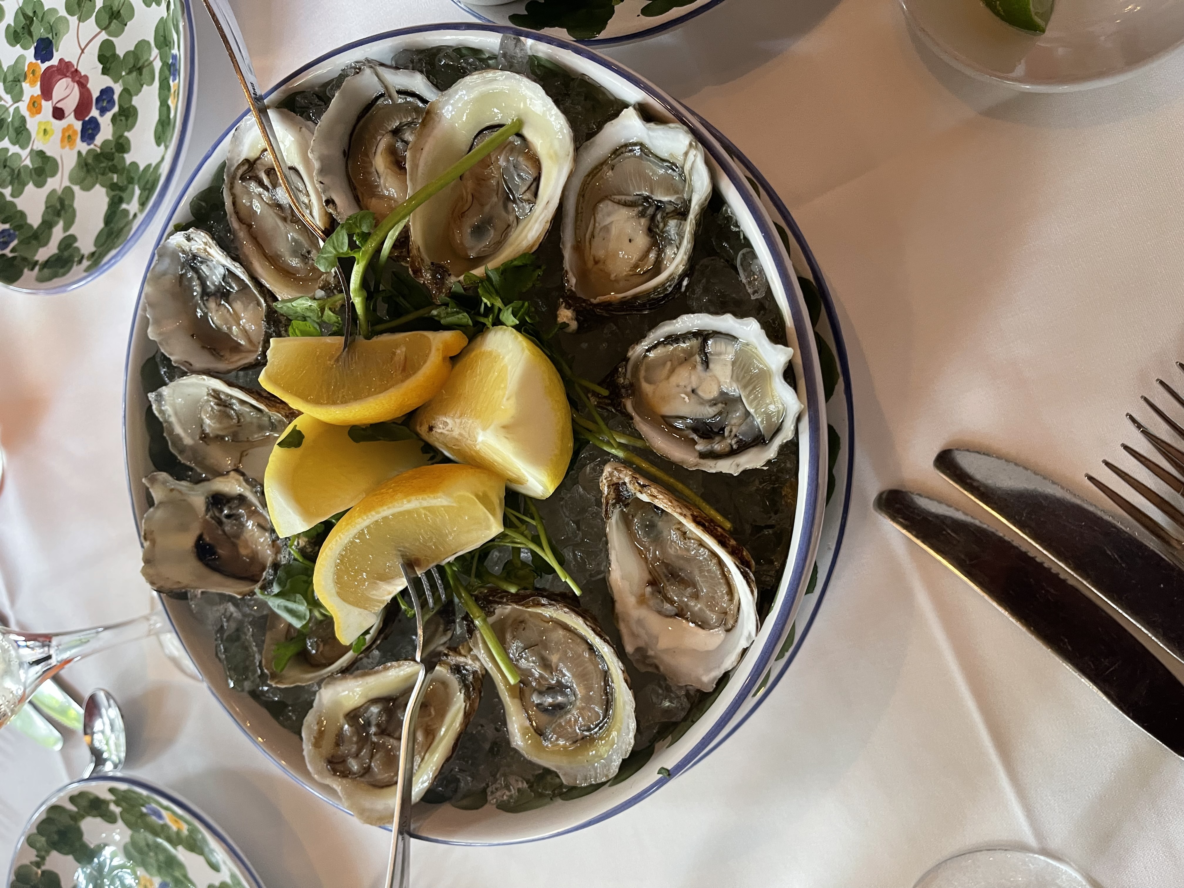 pics keep getting rejected help pls! - Adobe Community - 15182690