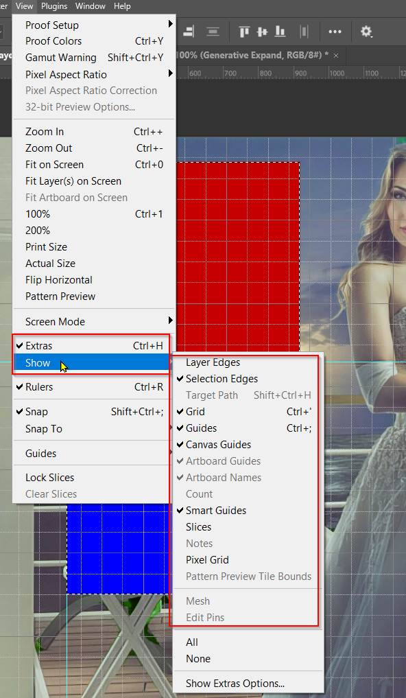 show/hide selection edges SHORTCUT - Adobe Product Community - 15193384