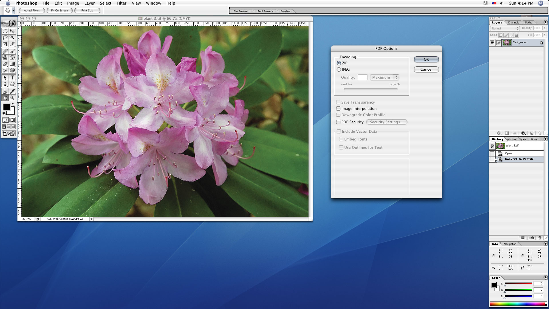 Photoshop 7 - Adobe Community - 15213913