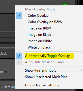 Brush Masking Overlay not showing up - Adobe Product Community - 13632531