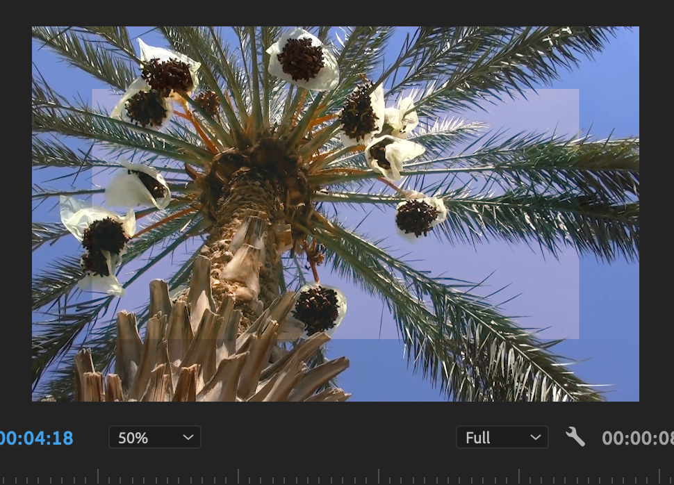 sequence settings problem. Two scene in one clip - Adobe Community ...